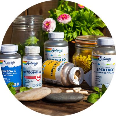 Solaray | Mega B stress, Cal-Mag, d-vitamin mm. | Med24.dk