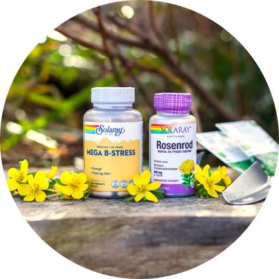 Solaray | Mega B stress, Cal-Mag, d-vitamin mm. | Med24.dk